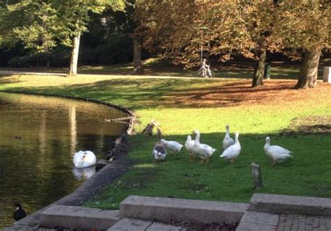 Excursies Groningen Haren