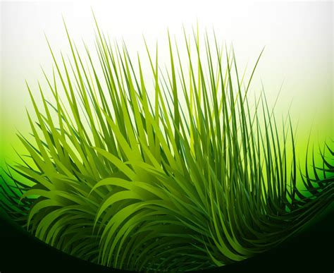 Abstract Green Grass Bright Vector Illustration Vectors Graphic Art Designs In Editable Ai Eps