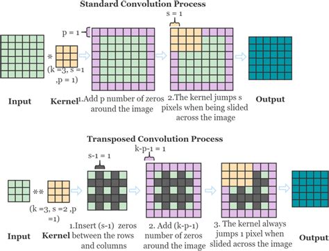 Two Convolution Processes Standard Convolution And Transposed