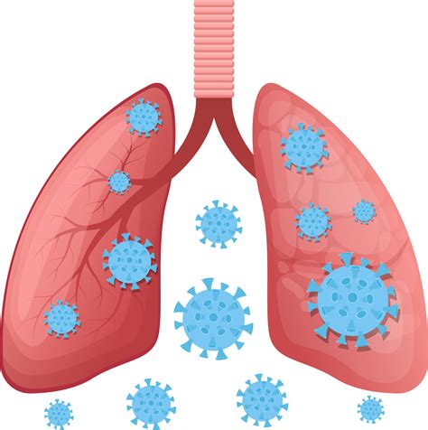 Lung Clipart Design Illustration 9400767 Png