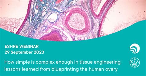 European Society Of Human Reproduction And Embryology Eshre On