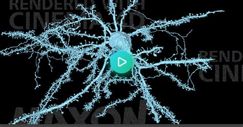 Neuron Render Test Wip Album On Imgur