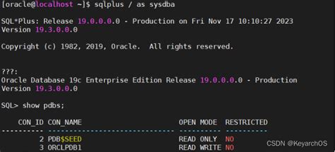 Keyarchos环境下部署oracle19c数据库详细安装教程oracle Database Preinstall 19c Csdn博客