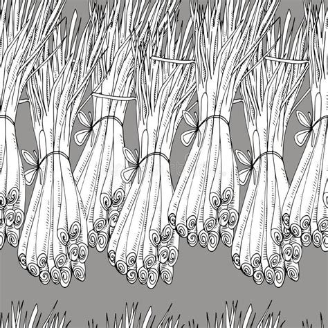 Vector Doodle Lemongrass Illustration Seamless Pattern In White And