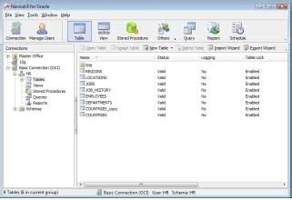Oracle Database Program Runs But Does Not Execute Query Techyv