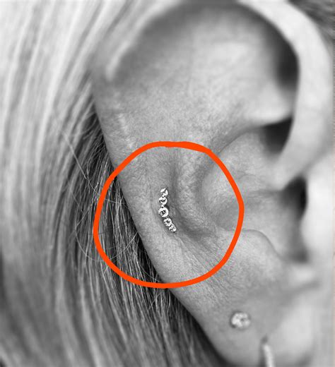 Too Fussy For Initial Conch Jewellery Rpiercing