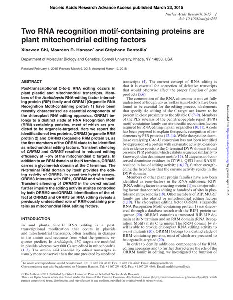 Pdf Two Rna Recognition Motif Containing Proteins Are Plant Mitochondrial Editing Factors