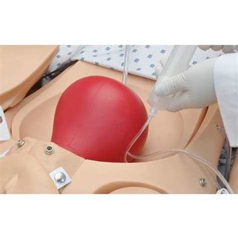 Noelle Birthing Simulator Health And Care