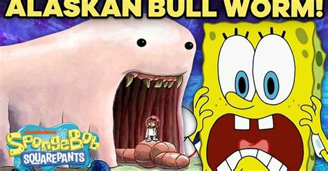 Spongebob Sandy Spongebob And The Worm