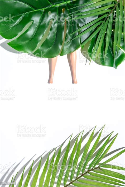 흰색 배경에 인형 다리와 열대 야자수 잎 창조적 인 최소한의 여름 개념 0명에 대한 스톡 사진 및 기타 이미지 0명 개념