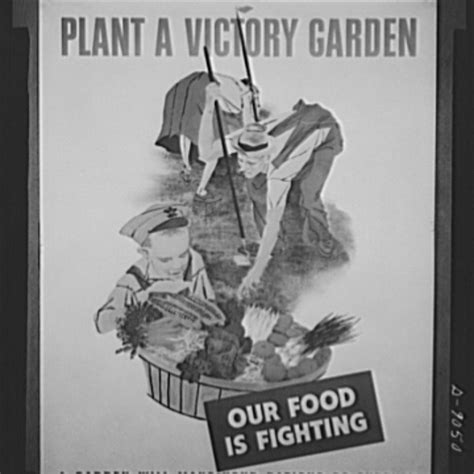 World War Ii Victory Garden Posters