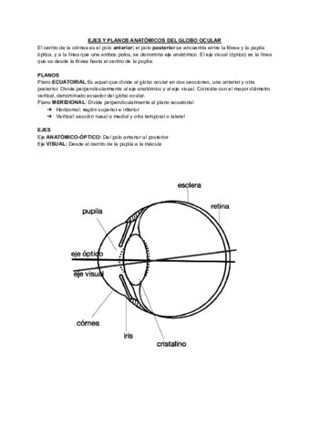 TEMARIO ANATOMIA VISUAL Pdf