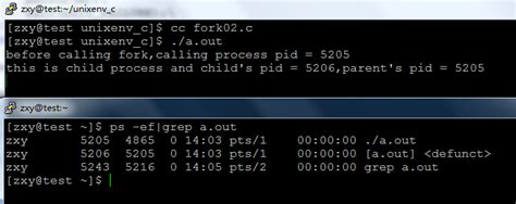 Linux系统编程之进程(三):进程复制fork,孤儿进程,僵尸进程 Csdn博客 Linux系统编程之进程(三):进程复制fork,孤儿进程,僵尸进程 Csdn博客