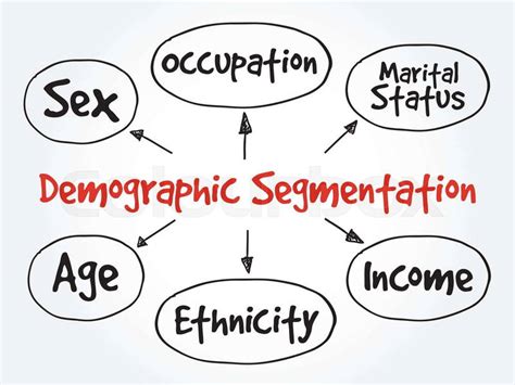 Demographic Segmentation Mind Map Flowchart Social Business Colourbox