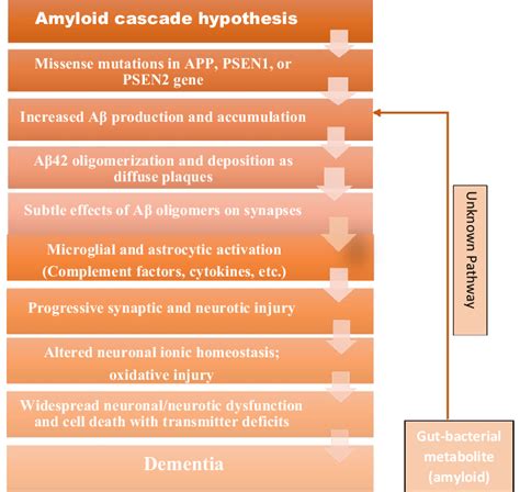 Amyloid Cascade Hypothesis Proteolytic Processing Of App With Download Scientific Diagram
