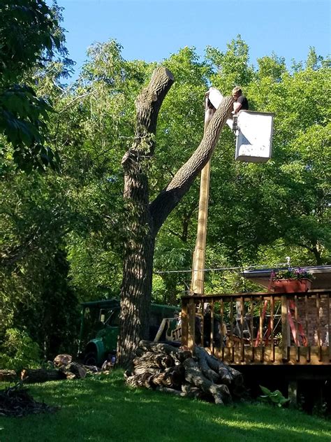 Extreem Tree And Yard Care LLC The Glove Michigan