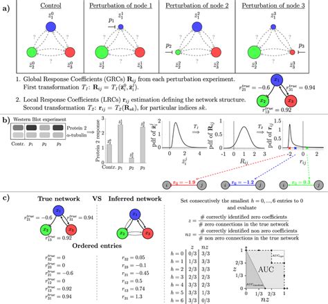 Variability And Noise In Measurements Affect Network Reconstruction Via