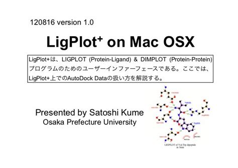 Ligplotjapanesever10