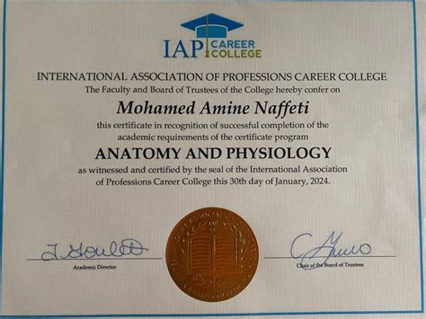 Mohamed Amin Naffeti On Linkedin Certificate Achievement