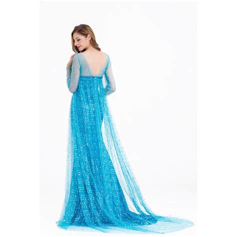 Adult Elsa Frozen Princess Long Dress Princess Elsa Dress Cosplay