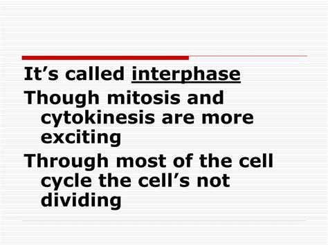 Ppt The Cell Cycle Rap Powerpoint Presentation Free Download Id5652471