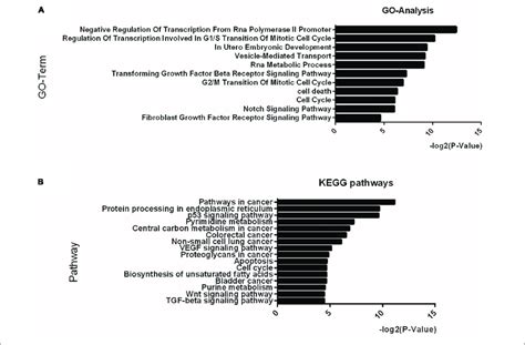Top Ranking Go Terms And Kegg Pathways Enriched In Genes