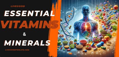 Essential Vitamins And Minerals