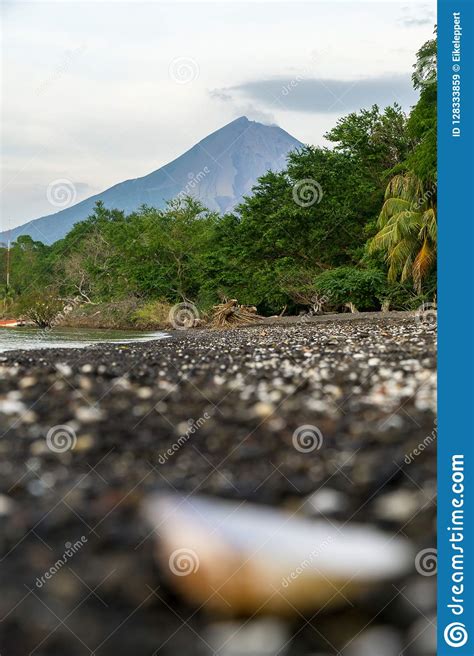康塞普西翁角火山的看法与被弄脏的前景的在奥梅特佩岛，尼加拉瓜 库存图片 图片 包括有 锥体 旅游业 128333859