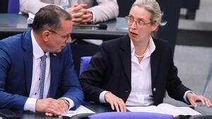 AfD Verbotsantrag laut Wanderwitz frühestens im Dezember 1 1