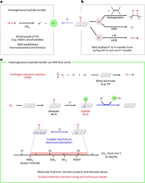 Design Of Heterogeneous Hydride Transfer And The Hrr A Homogeneous