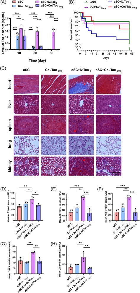 In Vivo Toxicity Evaluation Of The Coltac Hydrogel‐treated Sci Rats