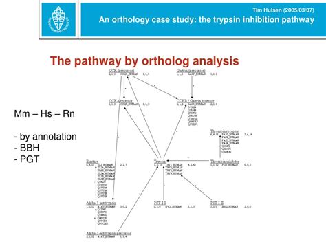 Ppt An Orthology Case Study The Trypsin Inhibition Pathway