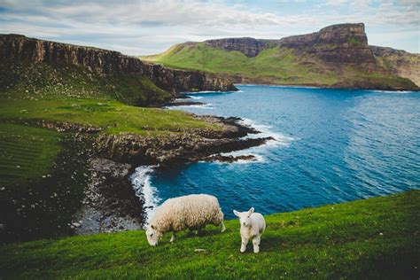 Can Foreigners Buy Property In Scotland A Comprehensive Guide Arab Mls