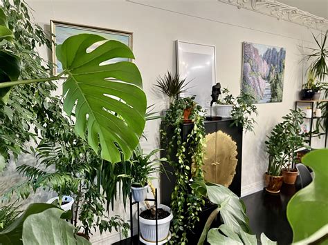 Интерьер студии живописи «Воздух Санкт Петербург