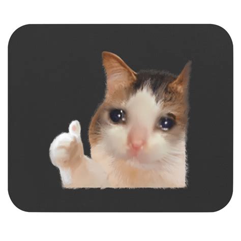Thumbs Up Crying Cat Meme Cat Crying Thumps Up Memes Sad Cat T Mouse