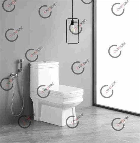 Siphonic One Piece Ceramic Wc Toilets Sanitary Ware Chinese Girl Wc