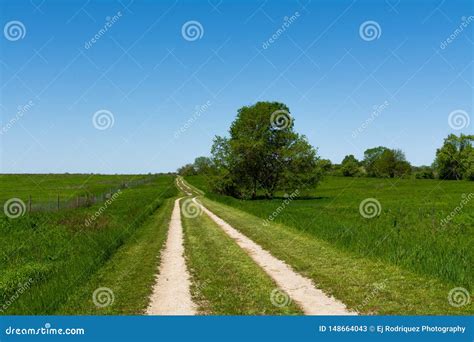 Road Through The Tallgrass Prairie Stock Image Image Of Field Plant
