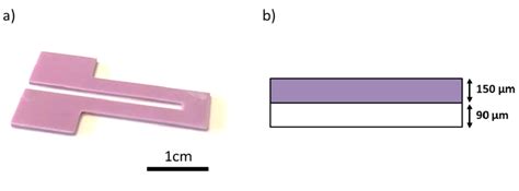 23 A Sco9ds3000ds3000 3d Printed Bilayer Composite B Schematic Download Scientific