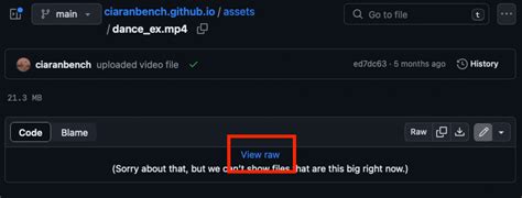 How To Add A Video File On Github Pages Website Html Ciaran Bench Medium