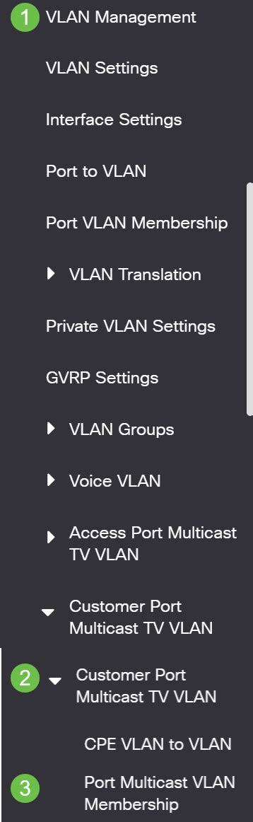 Hướng Dẫn Cấu Hình Access Port Multicast Vlan Membership Trên Switch