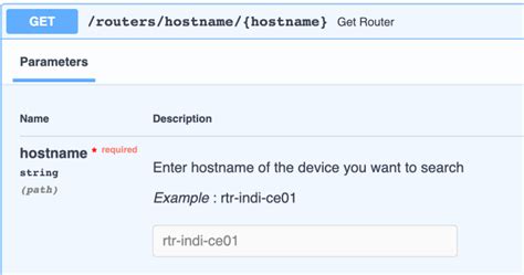 permit any python api using fastapi for network engineers