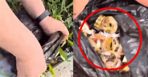 쓰레기 더미 속 검은 봉지서 ‘반짝 28시간 전 금은방서 훔진 금 5000만 어치가