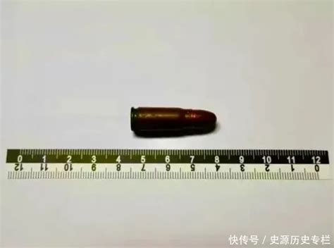宋教仁之死与他儿子为他报仇的情况 常德辛亥三杰 三湘名人 人物 湖南人在上海