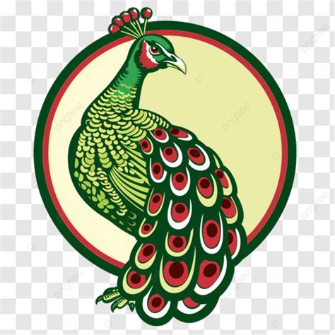 Peacock Facts Peacock Dance Bird Conservation Peacock Png