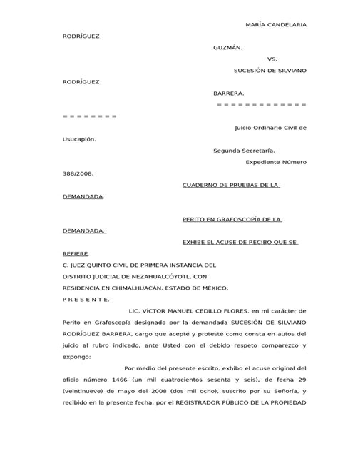 Grafoscopía Acuse De Recibo Exhibe Perito Demandada Chimal Pdf