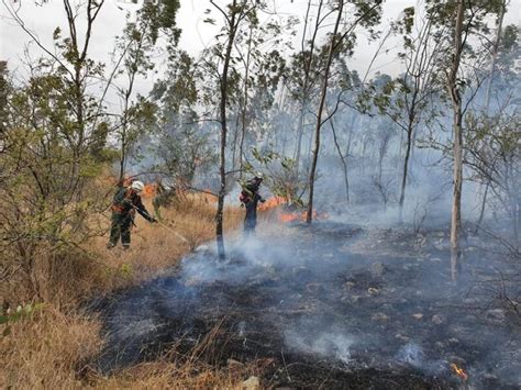 Quemas Afectaron 33 Millones De Hectáreas En Bolivia 67 Matorrales