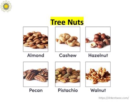 Tree Nut Allergy Foods To Avoid Cross Reactivity And Hidden Sources