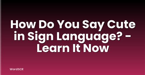How Do You Say Cute In Sign Language Learn It Now Wordscr