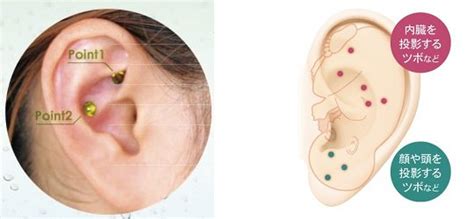 Ear Tsubo Jewelry Japan Trend Shop