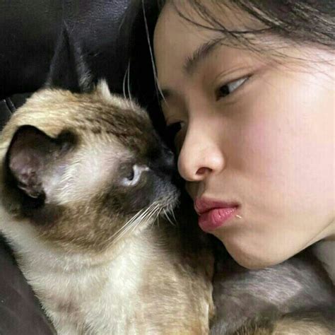 Pin De 黒猫 No Tango Em ⨳ ໑ ₊˚ Reinas ˚ ⩩ ⋆ Ideias Para Selfie My